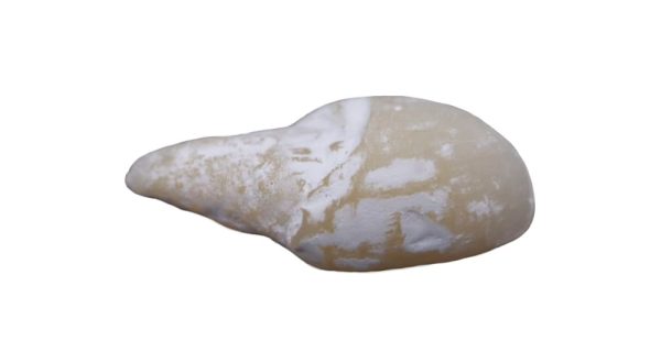 La confection d’un faux moignon en combinant la méthode traditionnelle ...
